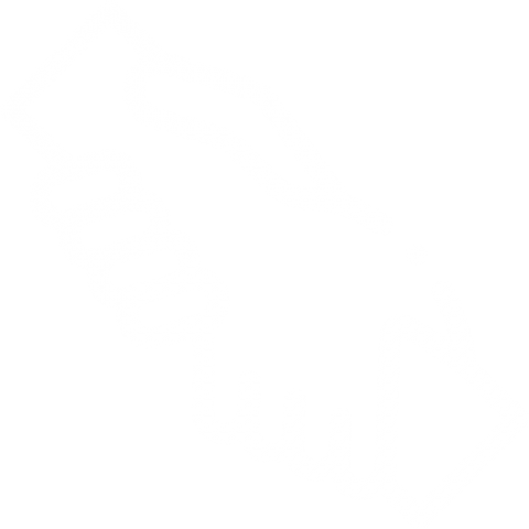 SDSI | A Community Developmental Disability Organization